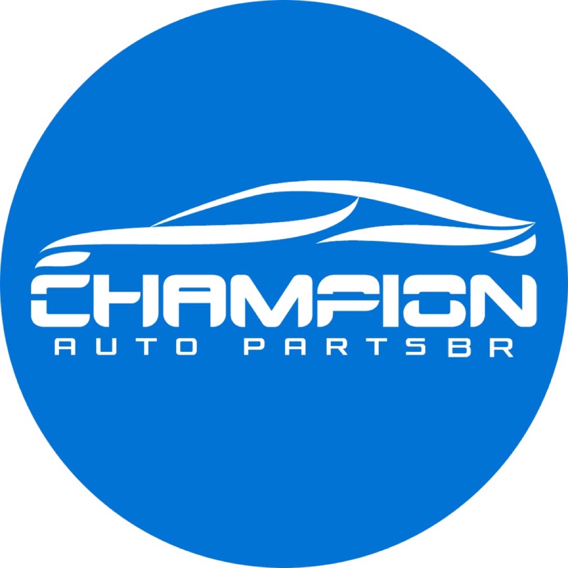 CHAMPION AUTOPARTS BR, Loja Online | Shopee Brasil