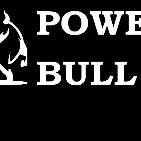Power Bull Equipamentos Fitness, Loja Online | Shopee Brasil