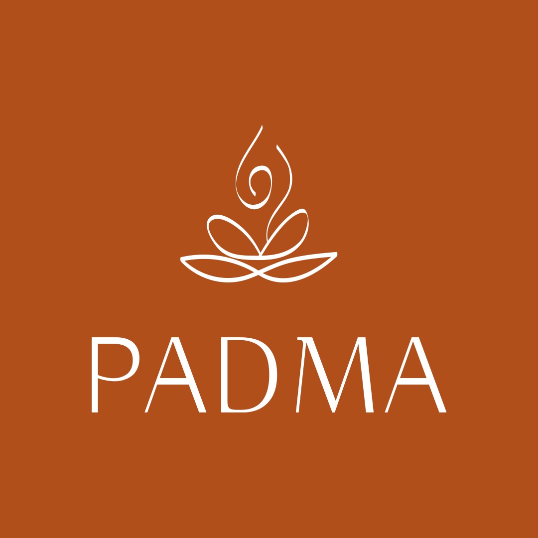 Padma Store T-shirts e Cropped, Loja Online | Shopee Brasil