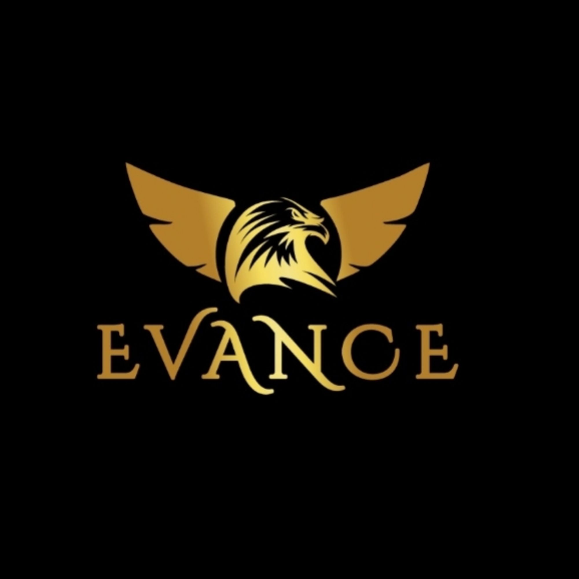 EVANCE, Loja Online | Shopee Brasil