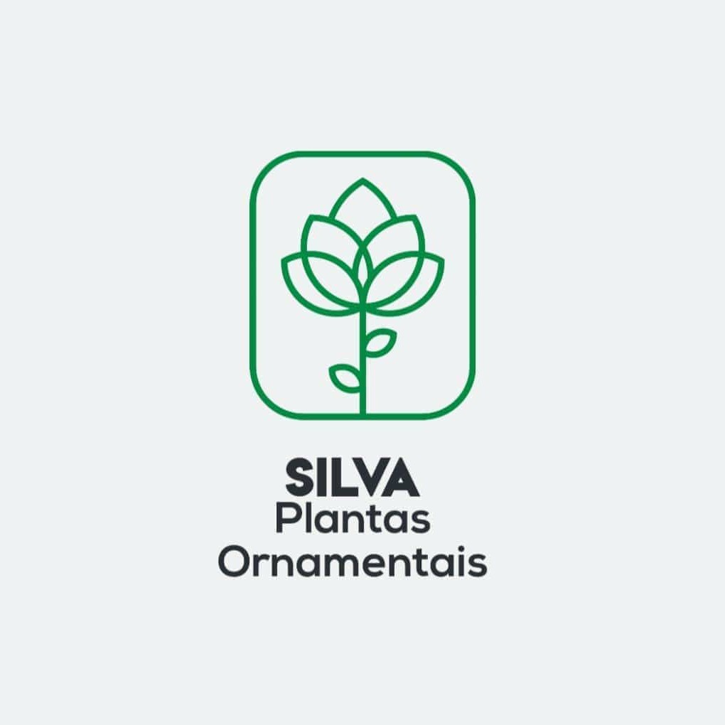 silva plantas ornamentais, Loja Online | Shopee Brasil