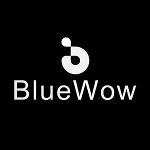 bluewow.br, Loja Online | Shopee Brasil