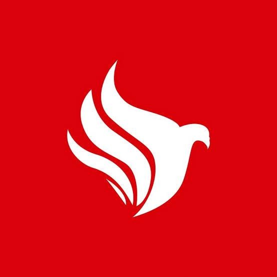 Pichau | Loja Oficial | Shopee Brasil 2025