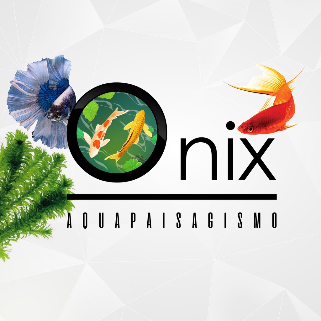 Onix Aqua, Loja Online | Shopee Brasil