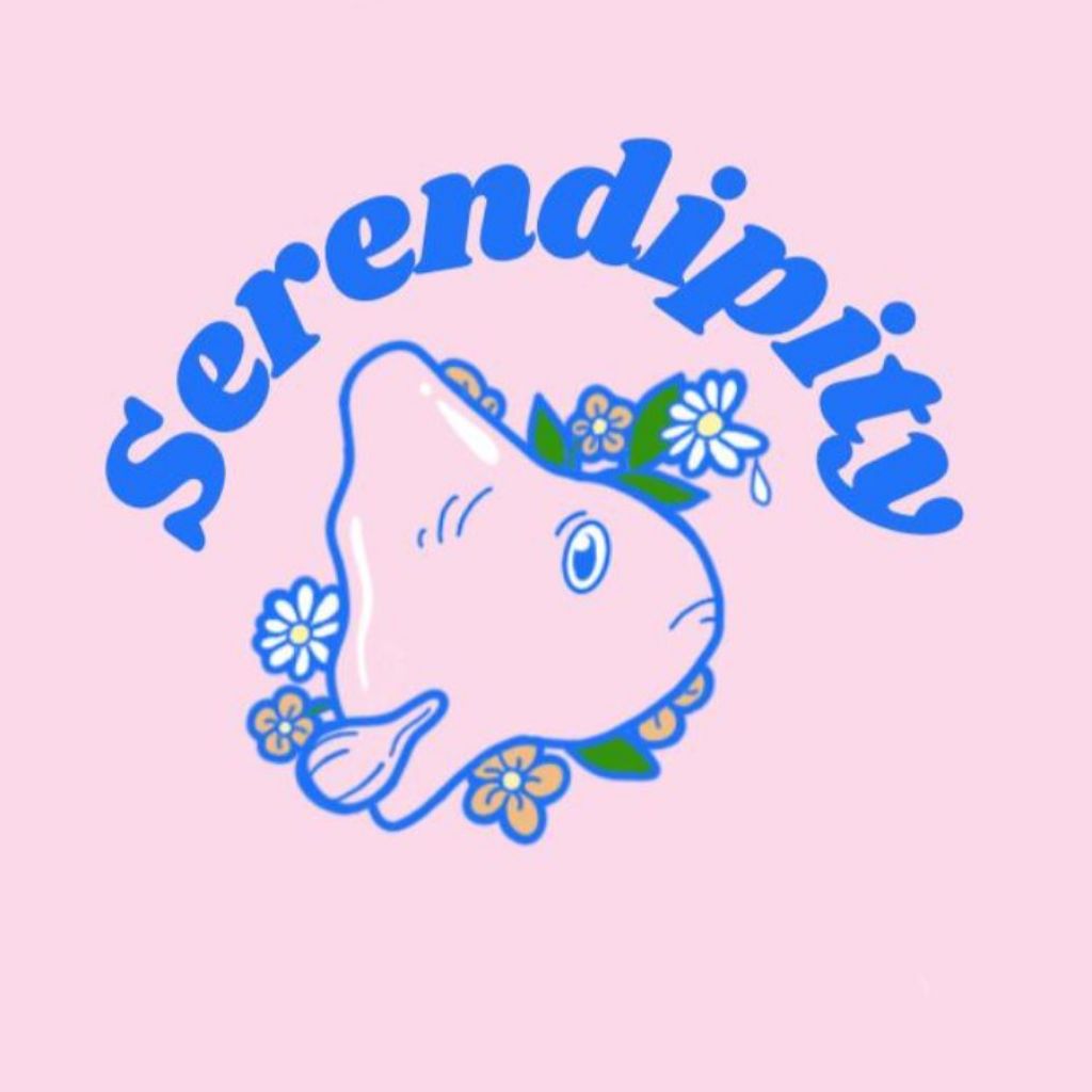 Bazar Serendipit, Loja Online | Shopee Brasil