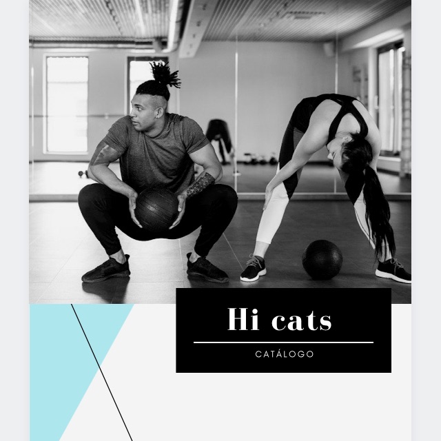 Hi cats, Loja Online | Shopee Brasil