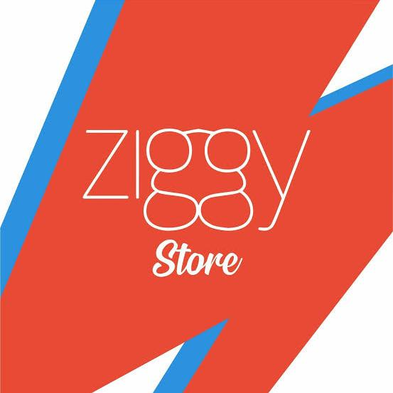 Ziggy Store Oficial, Loja Online | Shopee Brasil