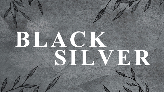 BlackSilver_Store, Loja Online | Shopee Brasil