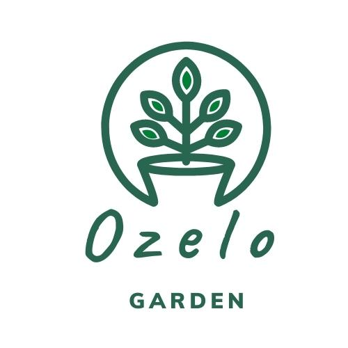 Ozelo, Loja Online | Shopee Brasil