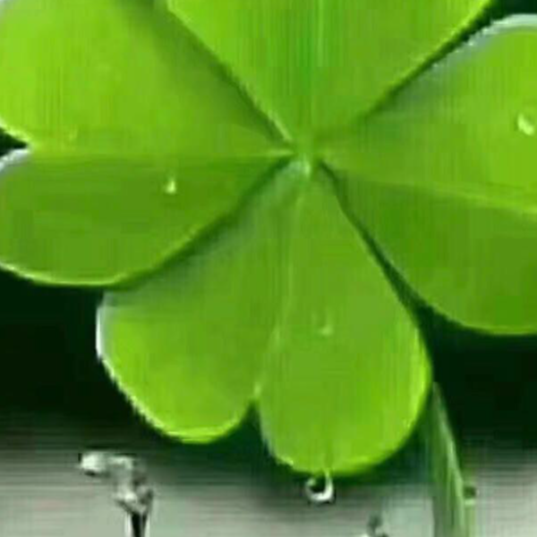 AA@Zyy, Loja Online | Shopee Brasil