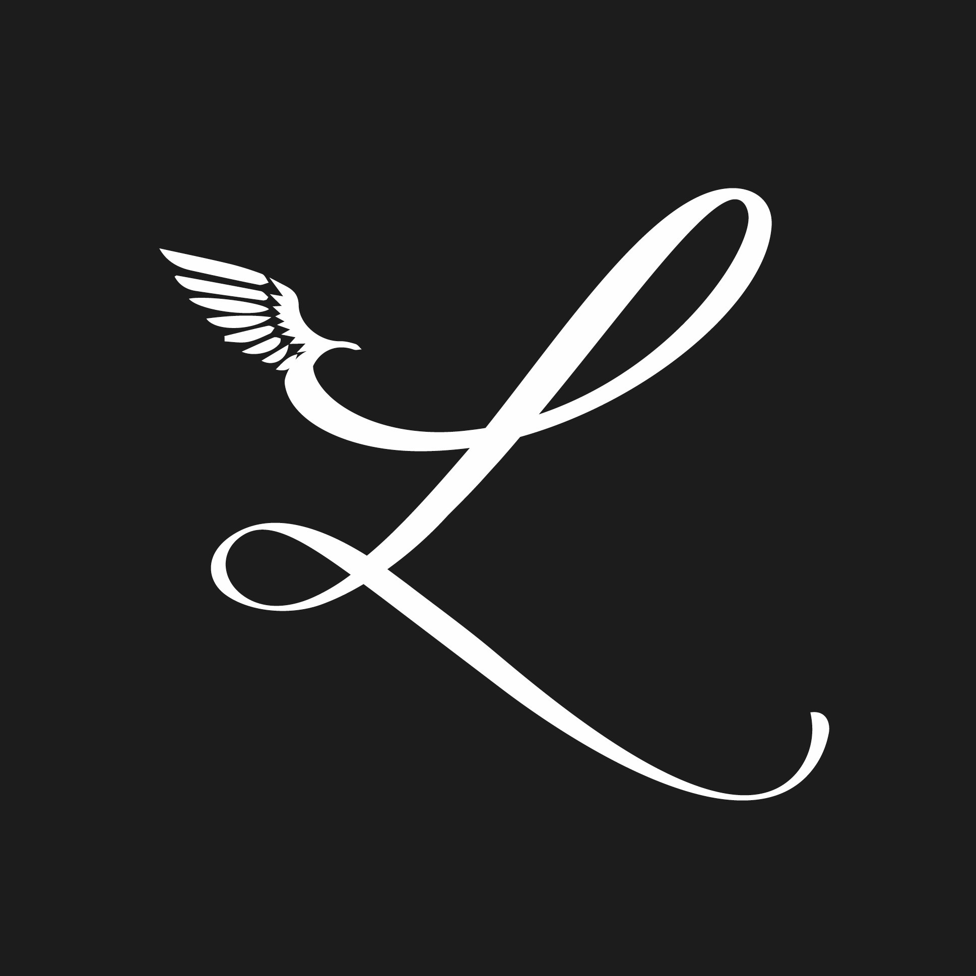 LY STORE OFICIAL, Loja Online | Shopee Brasil