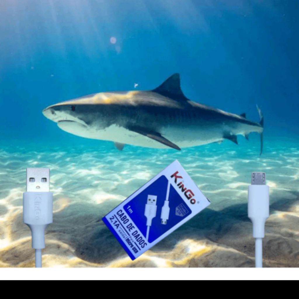 peizer negócios, Loja Online | Shopee Brasil