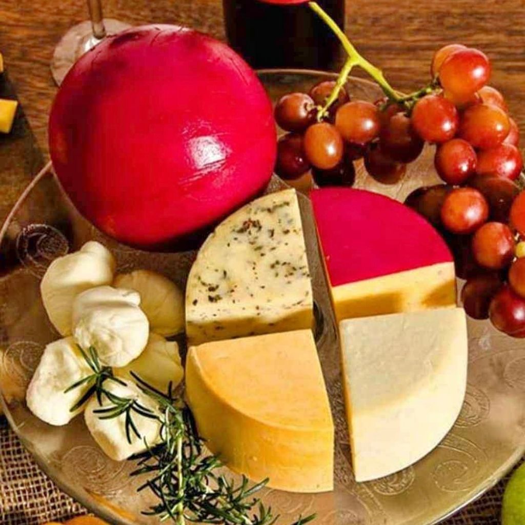 Nois é da roça, Loja Online | Shopee Brasil