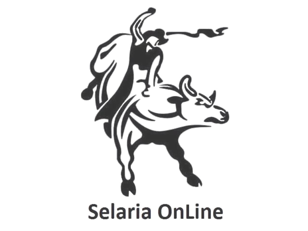 SELARIA_ONLINE, Loja Online | Shopee Brasil