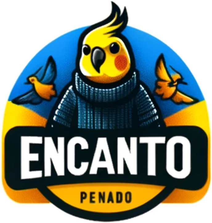 Encato , Loja Online | Shopee Brasil