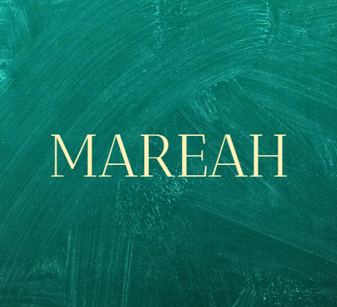 Beleza Natural Mareah, Loja Online | Shopee Brasil