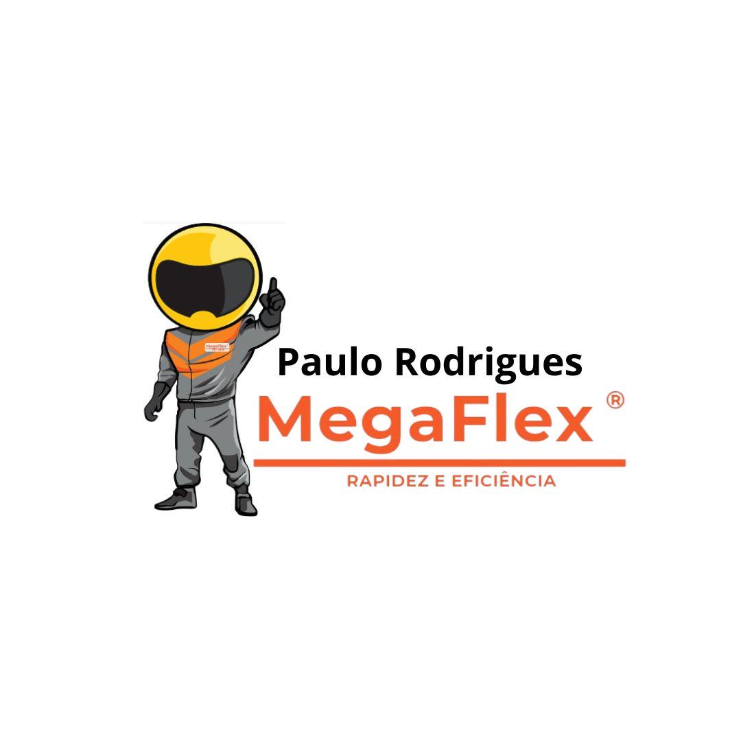 MEGA FLEX ENVIOS, Loja Online | Shopee Brasil