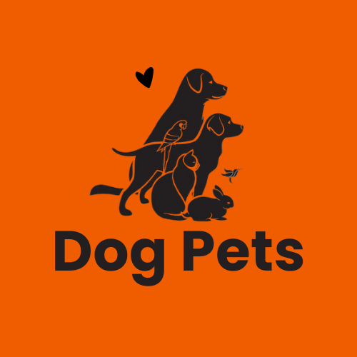 Dog Pets, Loja Online | Shopee Brasil