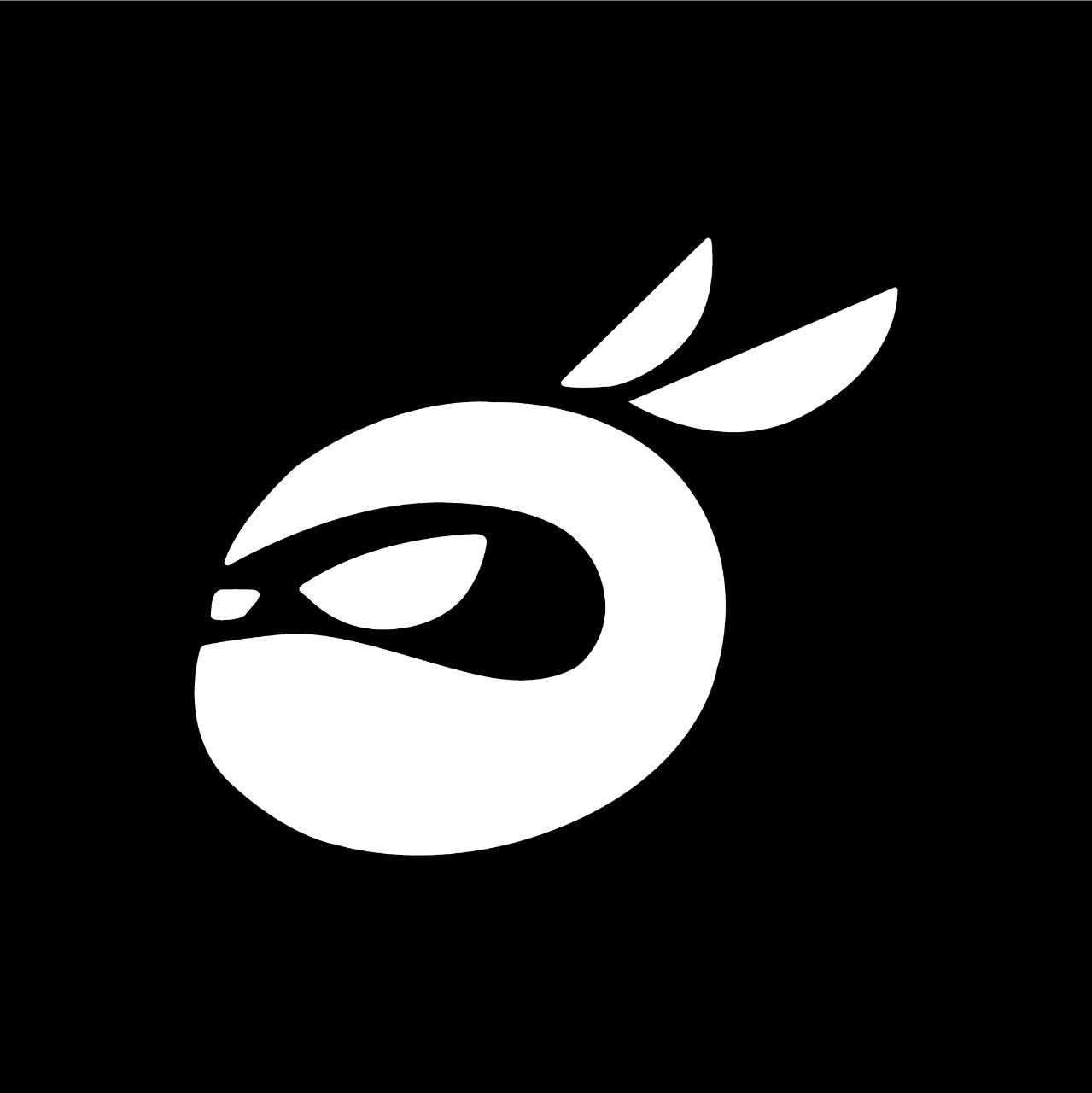 SETUP NINJA, Loja Online | Shopee Brasil