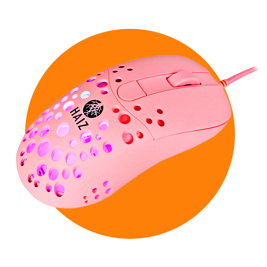 Haiz | Loja Oficial | Shopee Brasil 2024