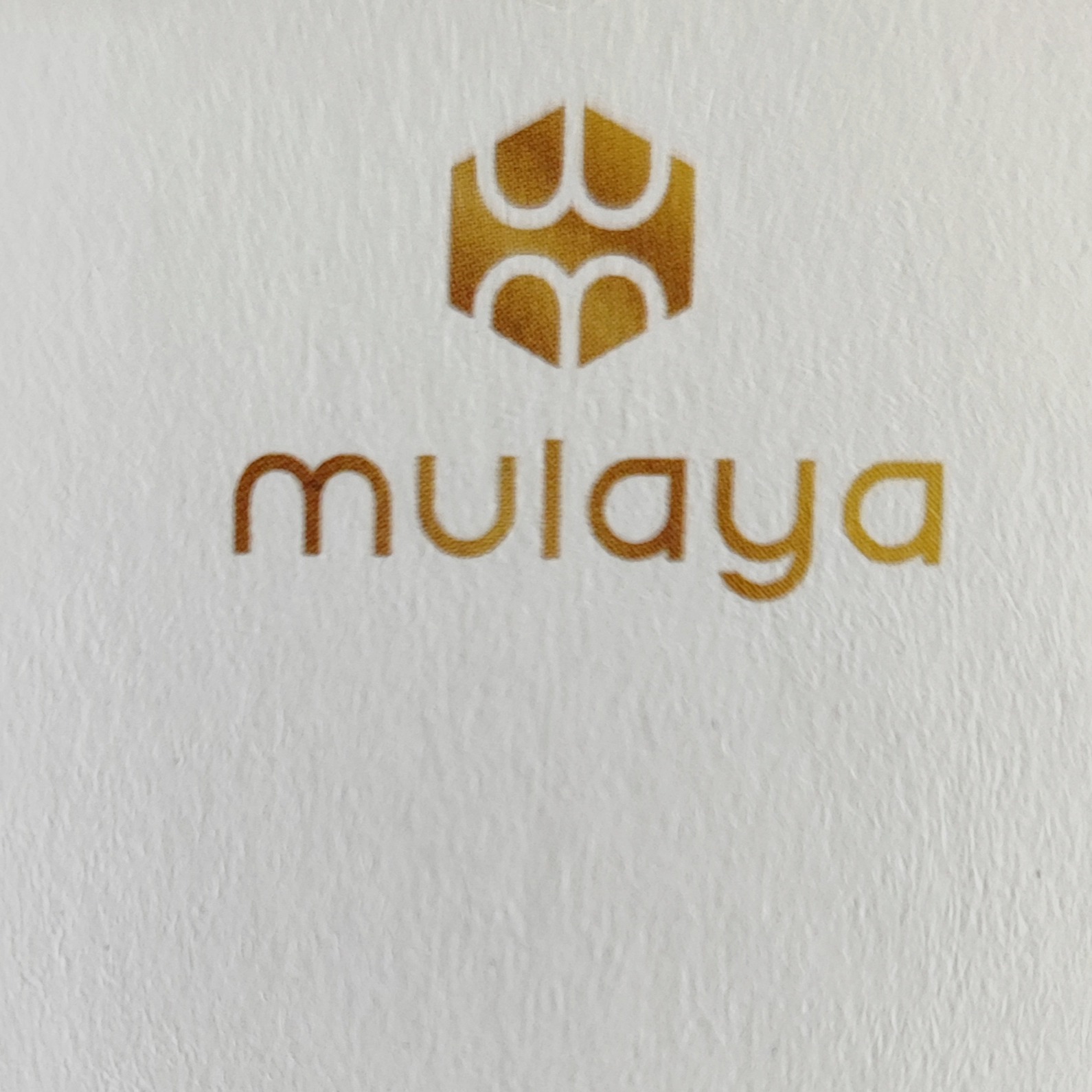 mulaya, Loja Online | Shopee Brasil