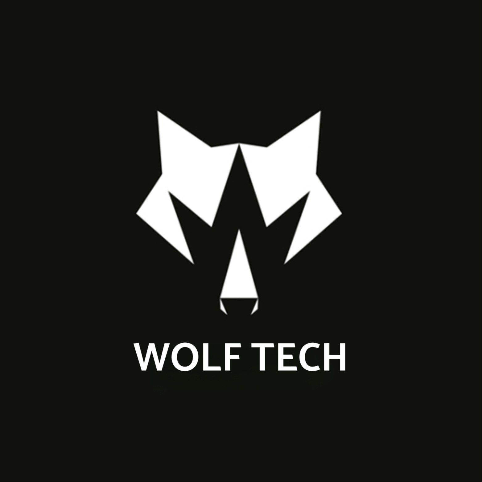 Wolf Eletrônicos, Loja Online | Shopee Brasil