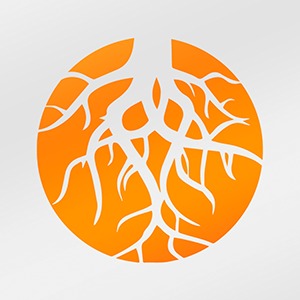 Haiz | Loja Oficial | Shopee Brasil 2025