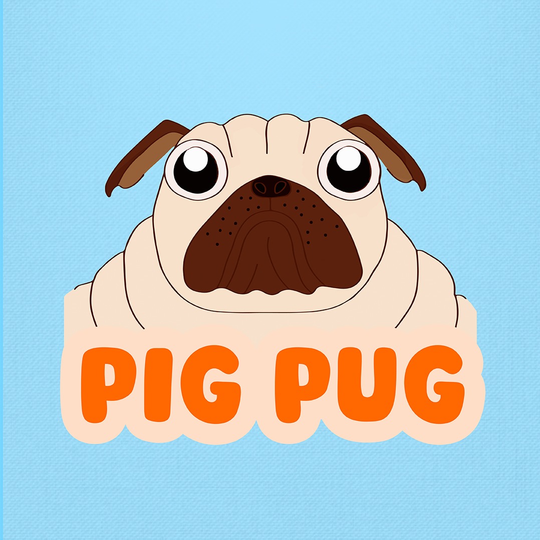 PIGPUG, Loja Online | Shopee Brasil