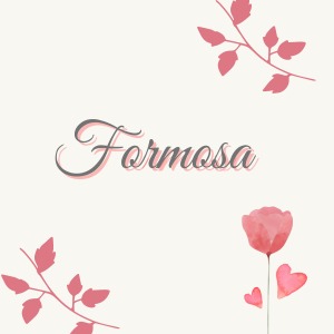 Formosa Store, Loja Online | Shopee Brasil