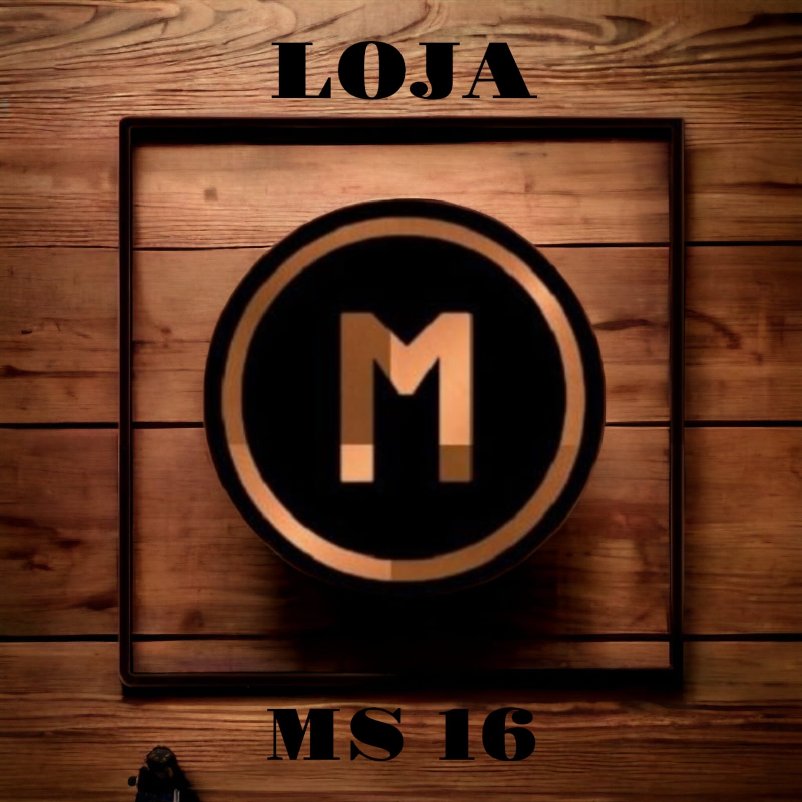LOJA MS16, Loja Online | Shopee Brasil