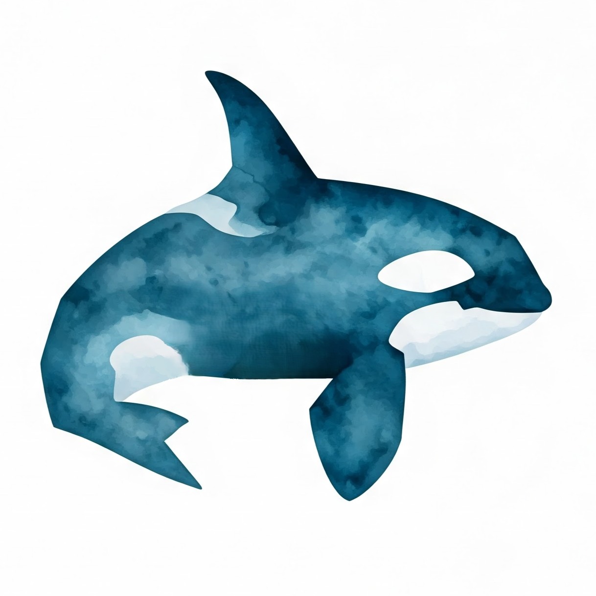 Orca Store, Loja Online | Shopee Brasil