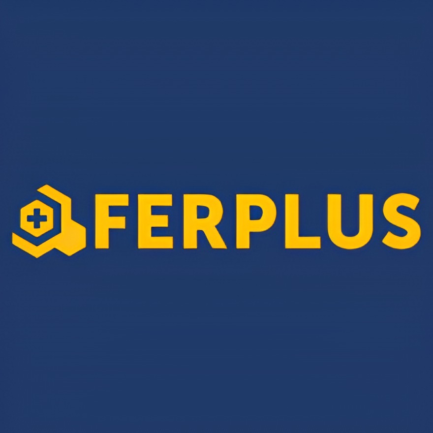 FERPLUS FERRAMENTAS, Loja Online | Shopee Brasil