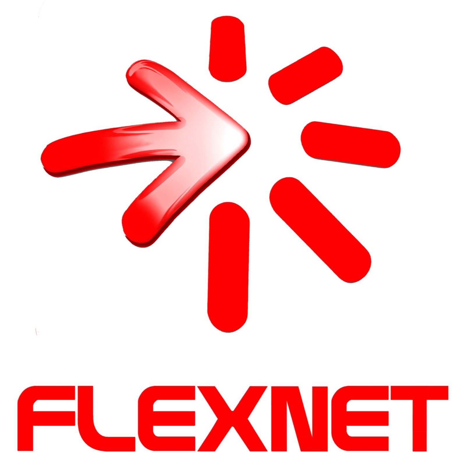 FlexNet Ecommerce, Loja Online | Shopee Brasil