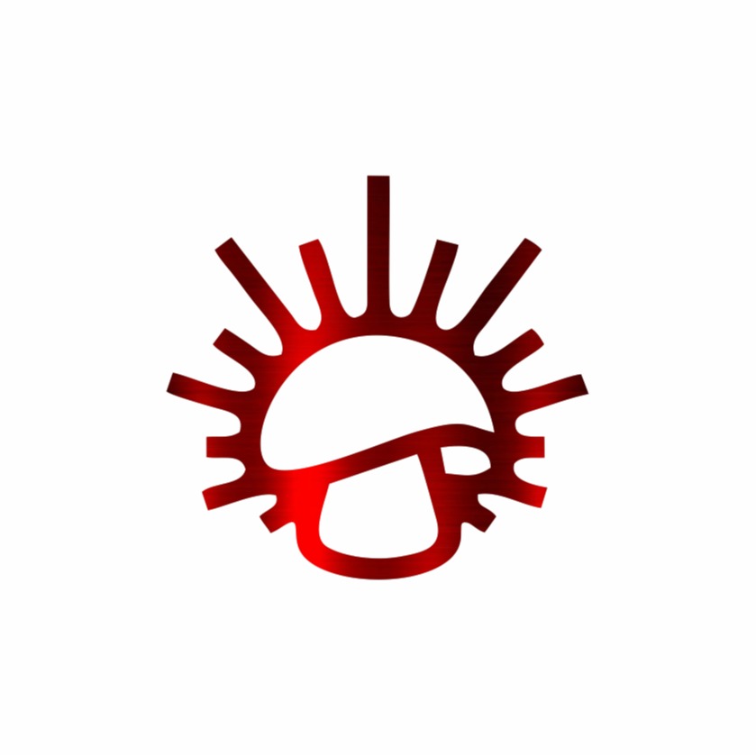 NeuroForce, Loja Online | Shopee Brasil