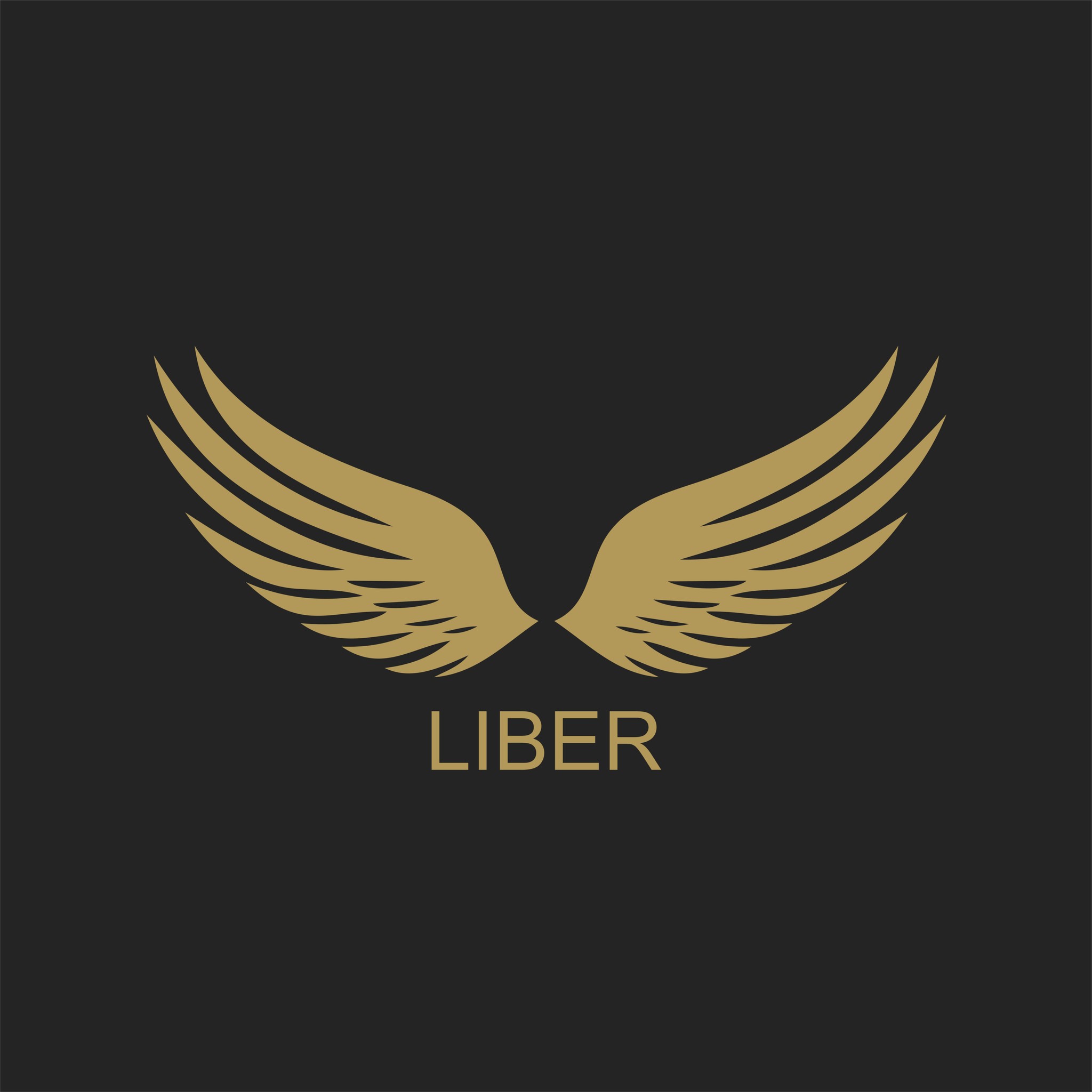 Liber Modas Oficial, Loja Online | Shopee Brasil