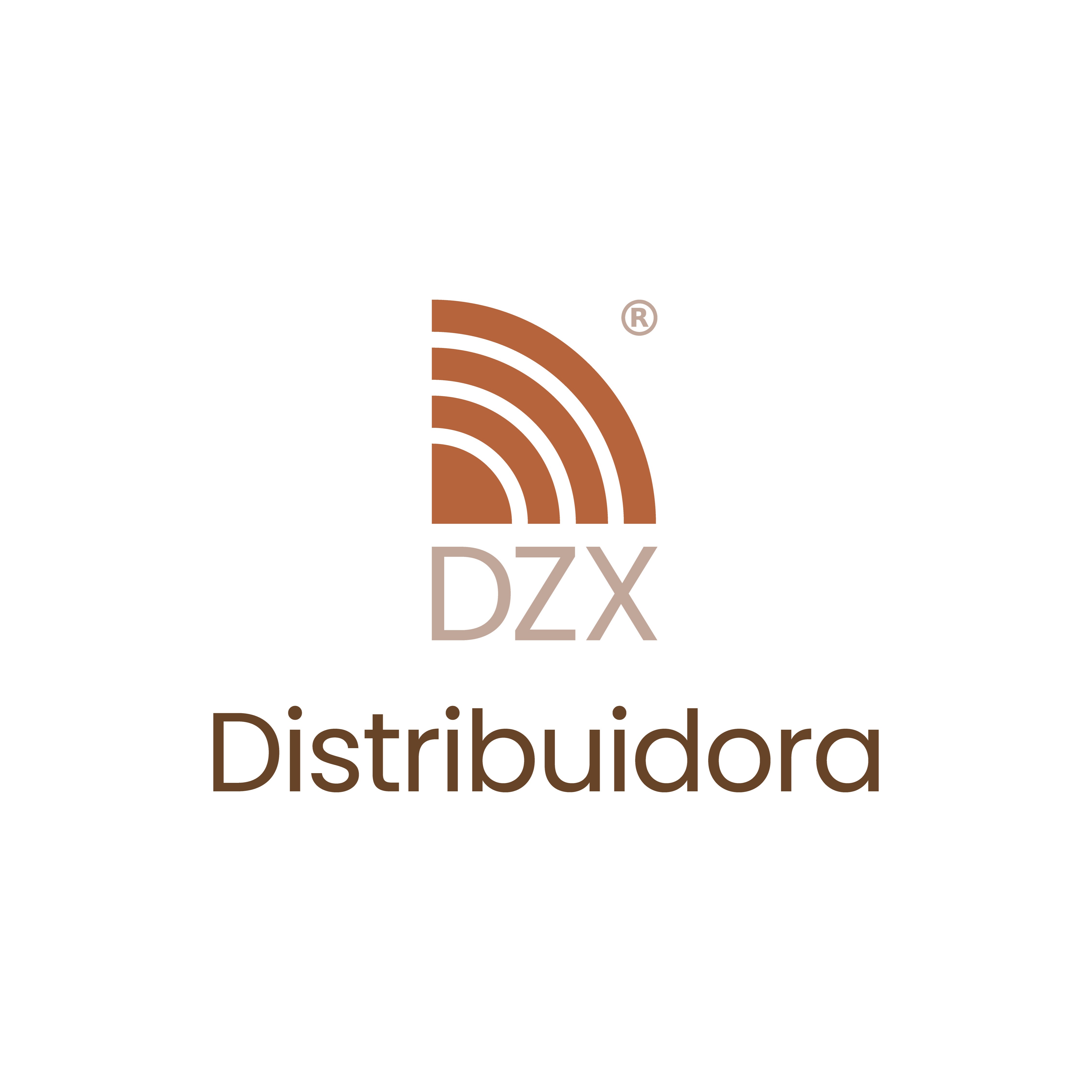DZX Distribuidora, Loja Online | Shopee Brasil