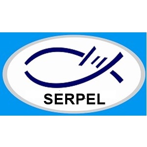SERPEL MOTORES, Loja Online | Shopee Brasil