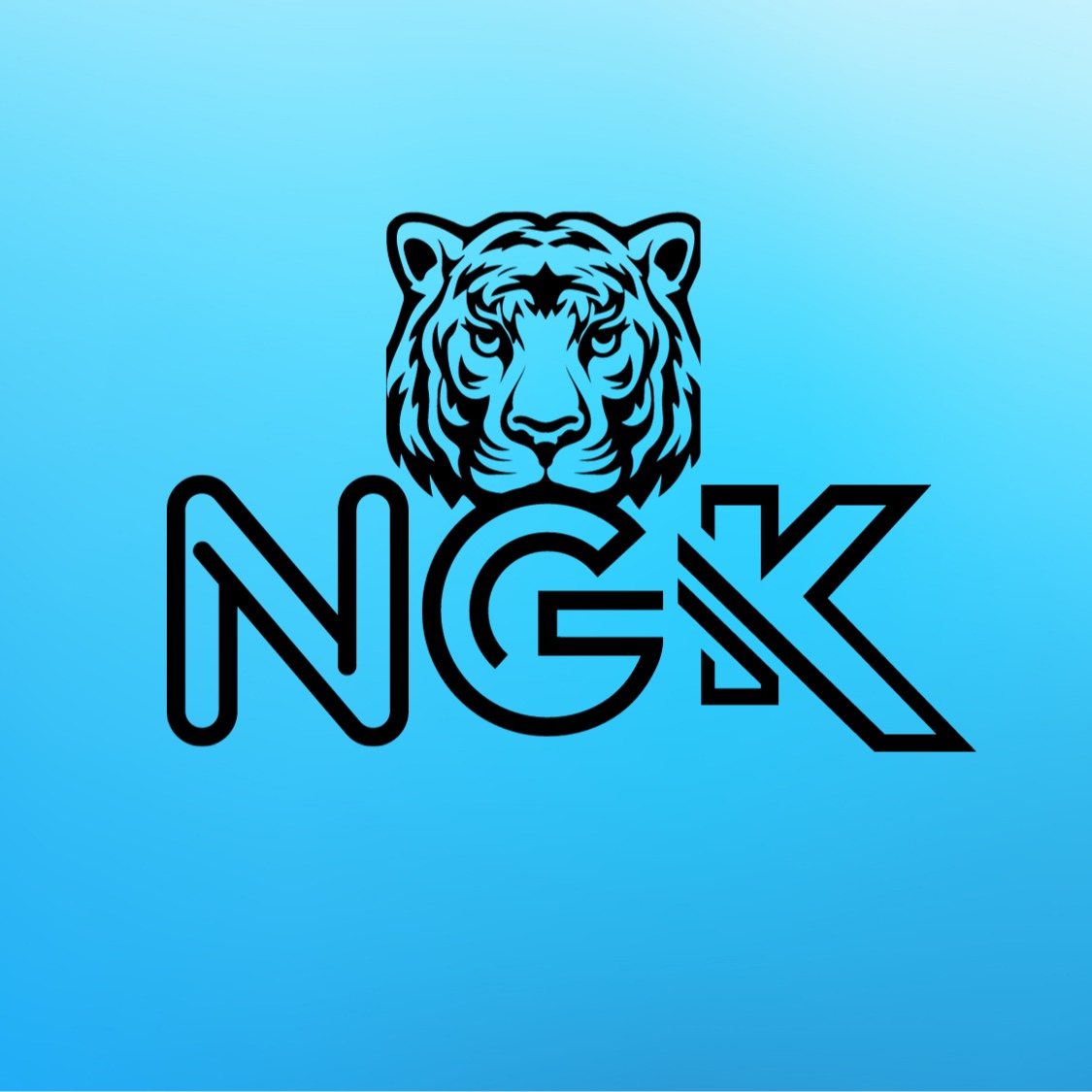 Ngk Store, Loja Online | Shopee Brasil