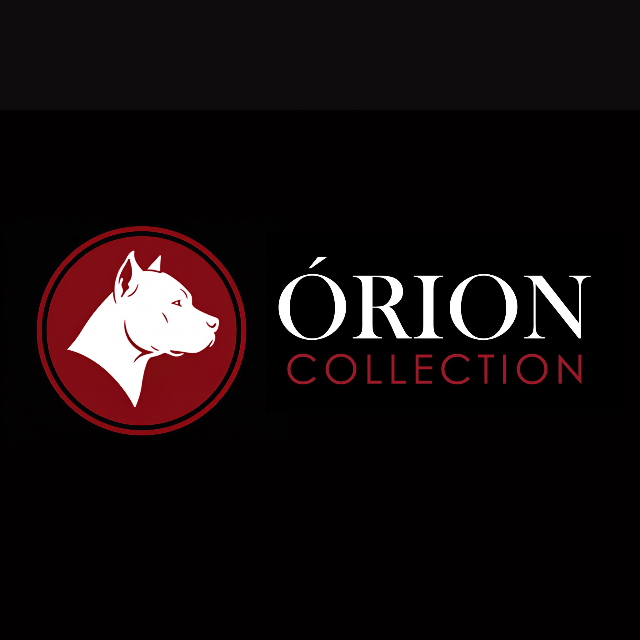 ÓRION COLLECTION, Loja Online | Shopee Brasil