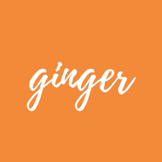 Ginger Store Importados, Loja Online | Shopee Brasil