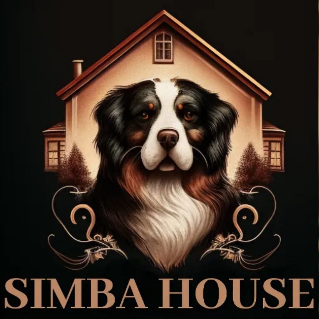 SIMBA HOUSE, Loja Online | Shopee Brasil