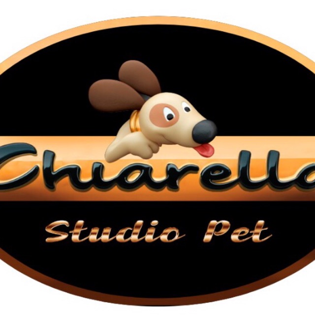 Chiarella Store, Loja Online | Shopee Brasil