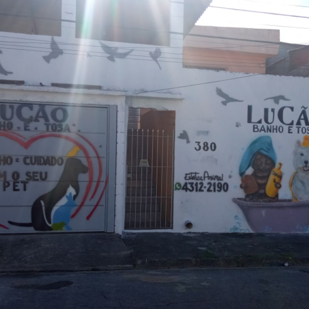 LuCão pet shop, Loja Online | Shopee Brasil