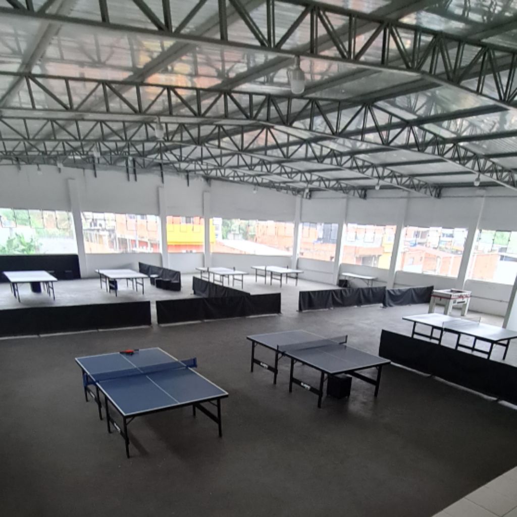 Daniel do Ping Pong, Loja Online | Shopee Brasil