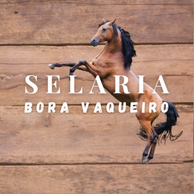 Selaria Bora Vaqueiro, Loja Online | Shopee Brasil