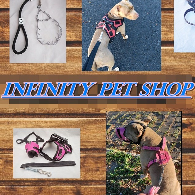 Infinity Pet Shop, Loja Online | Shopee Brasil
