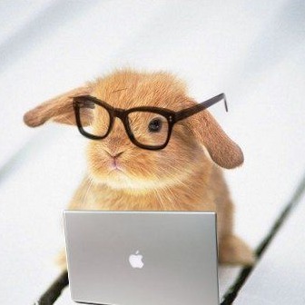 Bunny Geek Store, Loja Online | Shopee Brasil