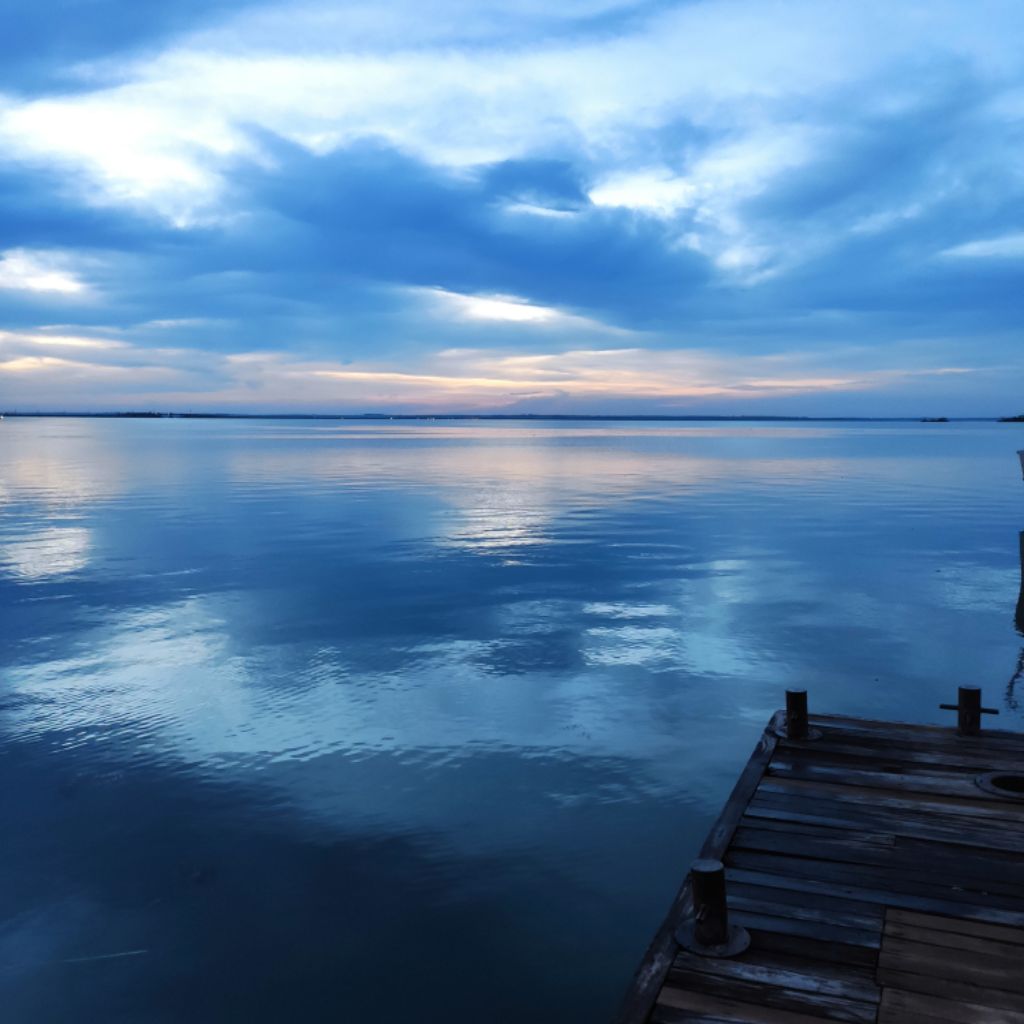 Force Shop, Loja Online | Shopee Brasil