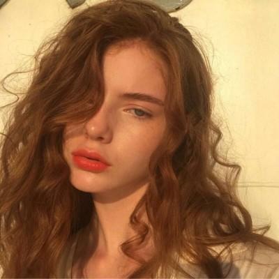 border_prime2.br, Loja Online | Shopee Brasil