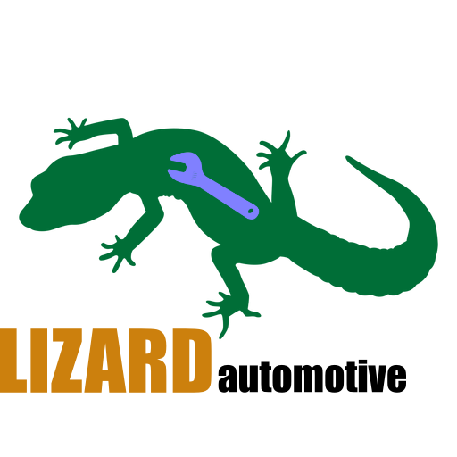 Lizard Automotive, Loja Online | Shopee Brasil